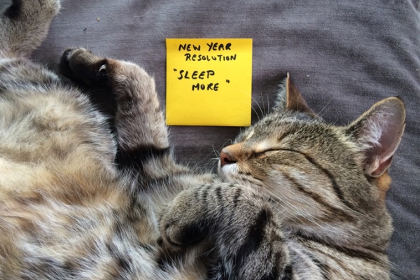 Turning over a new leaf: idioms and phrases for the New Year – About ...